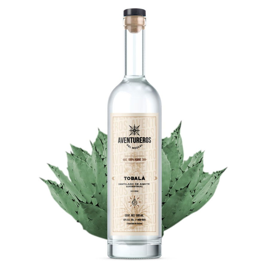 Tobalá – Aventureros del Mezcal